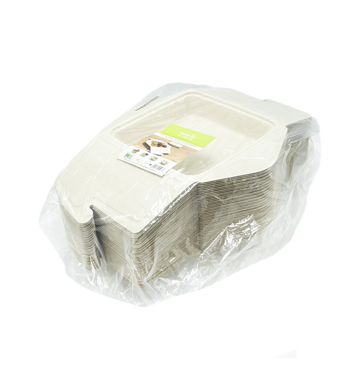 Package Sugarcane Box to Go 21x21x4cm 1350ml (100 Units)